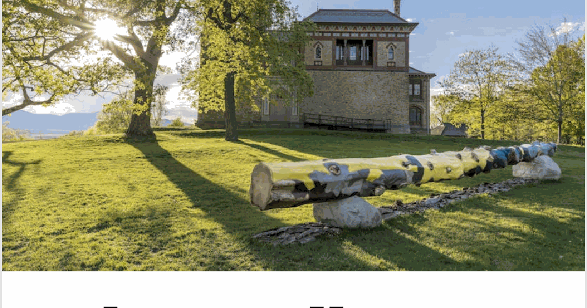 Jean Shin is Generating Beauty from Waste | Praise Shadows Art Gallery